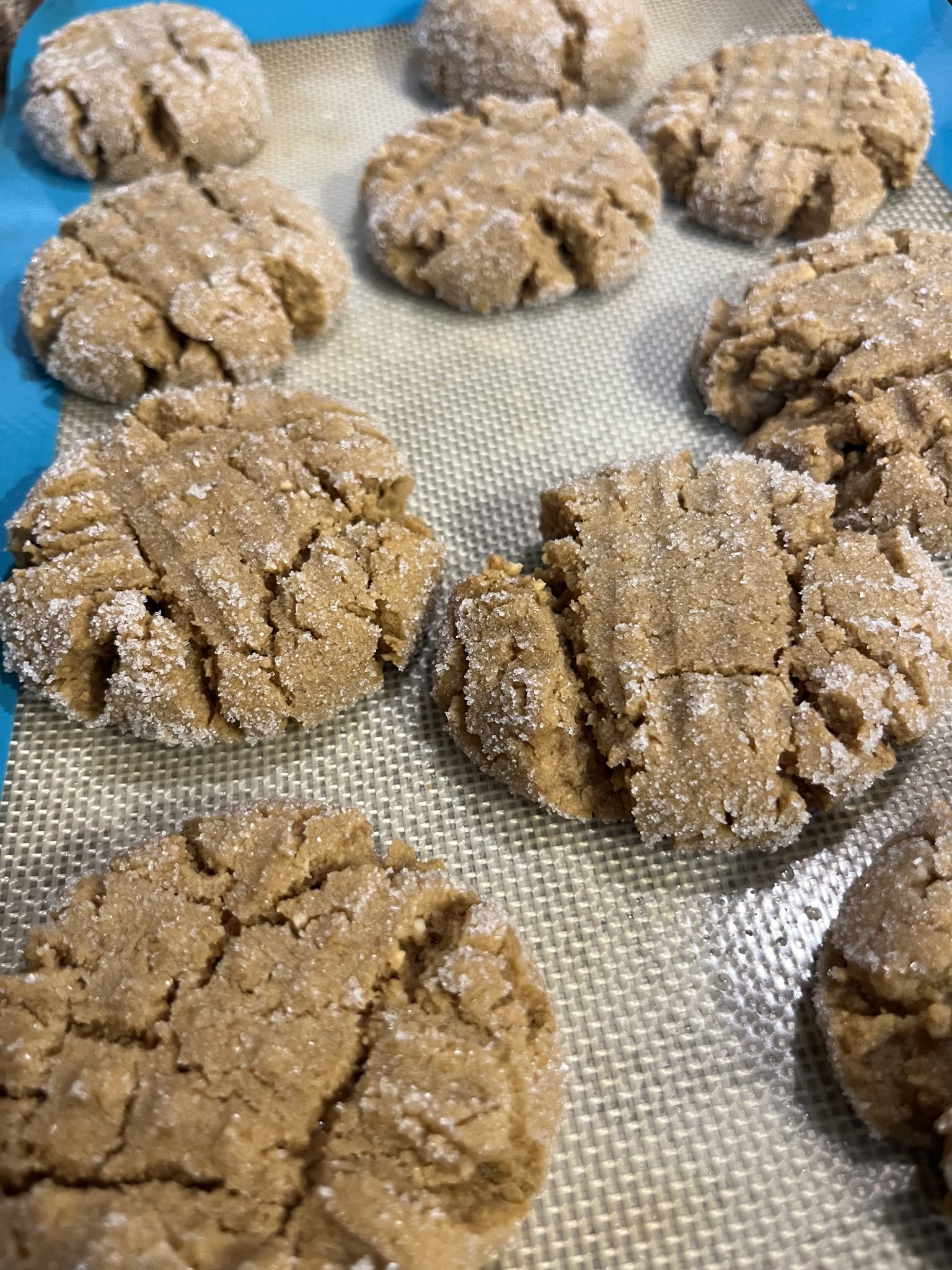 Organic Peanut Butter Cookies - The Neurotic Exotic