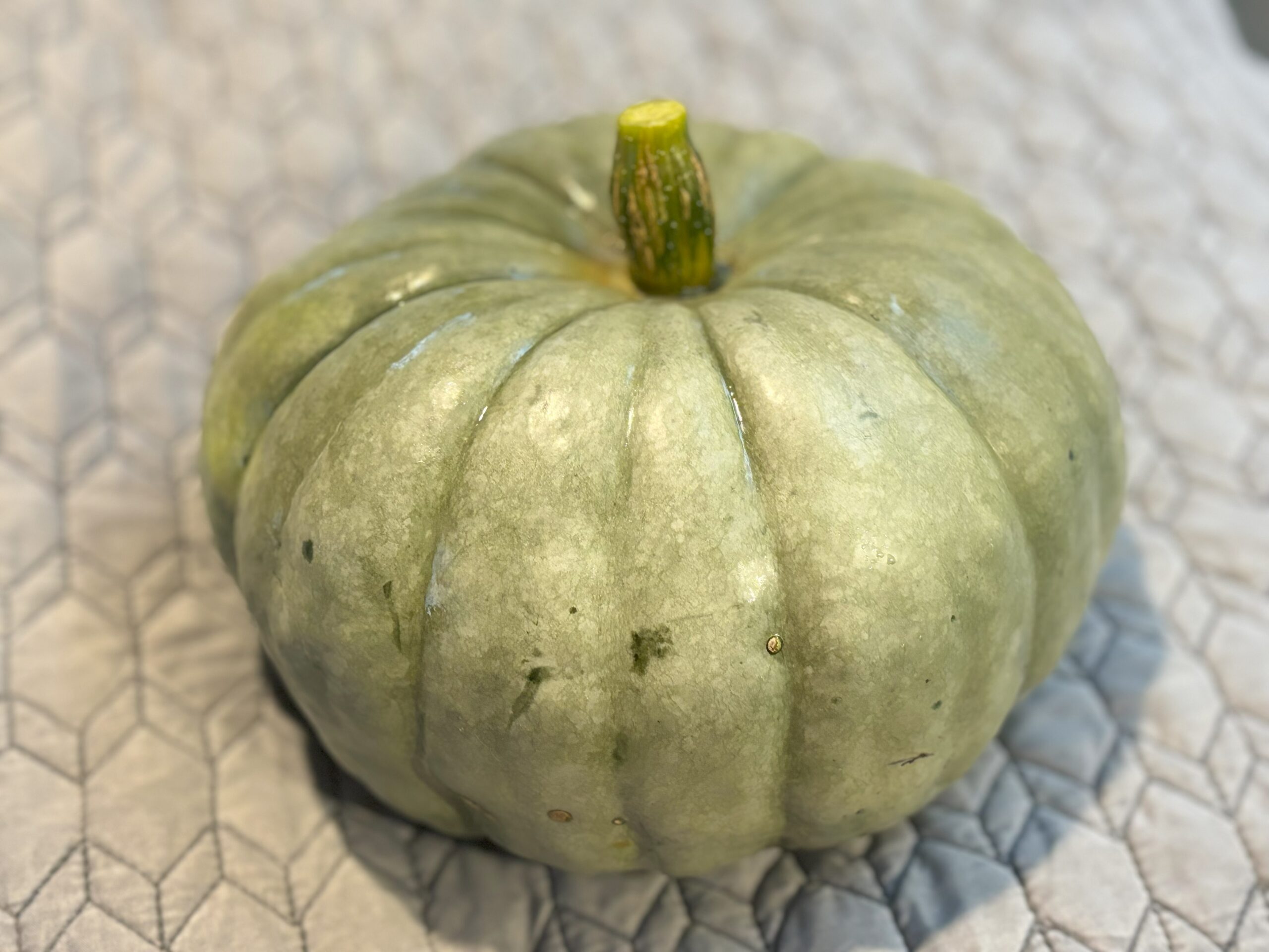 How to Prepare Pumpkins: From Baking to Roasting and Beyond - The ...